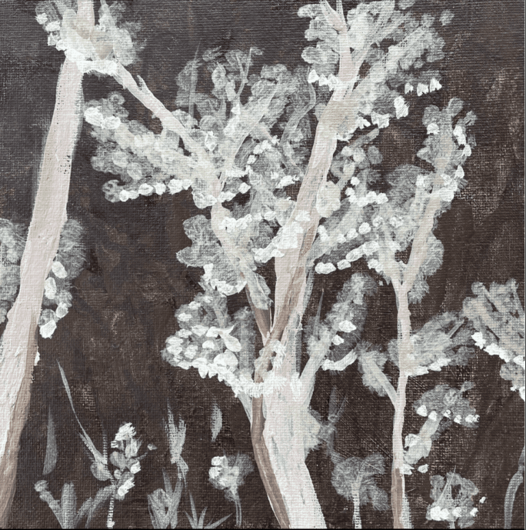 Vincent Acosta - Australia Art In Nature